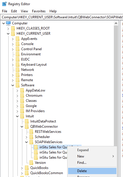 How do I delete a connection from the Web Connector – inSitu Sales